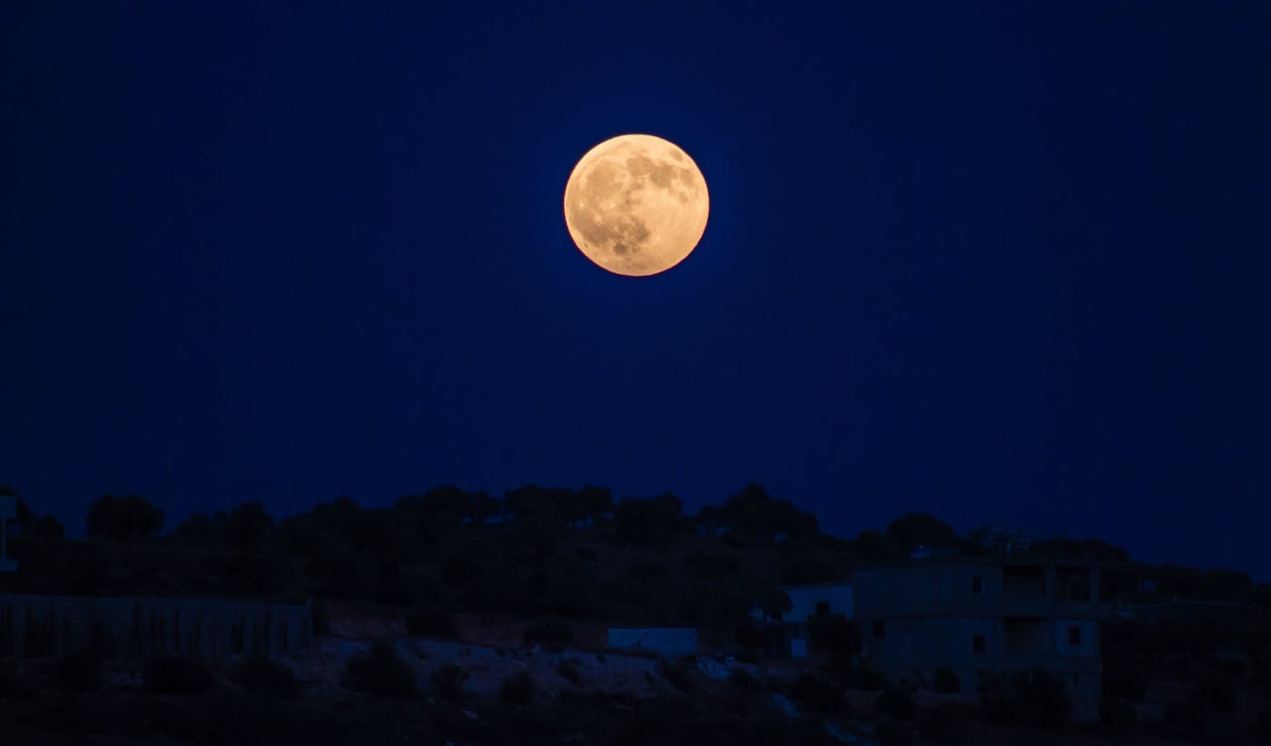 Moonstruck – Living As Equals